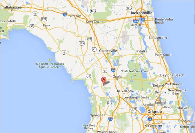 Rainbow Springs State Park, Dunnellon, FL – Jan 2015 | Michigan Traveler